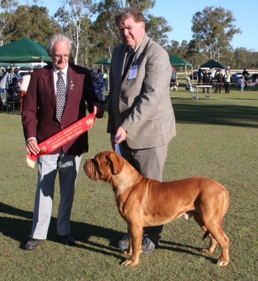 Bordogue Kennels - Ice's Page